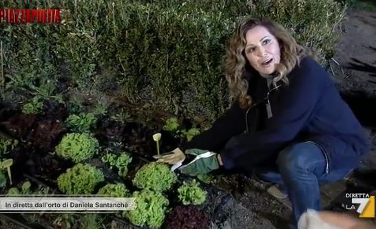 PIAZZAPULITA: DANIELA SANTANCHE' IN DIRETTA DAL SUO ORTO. MOMENTO (AGRI ...